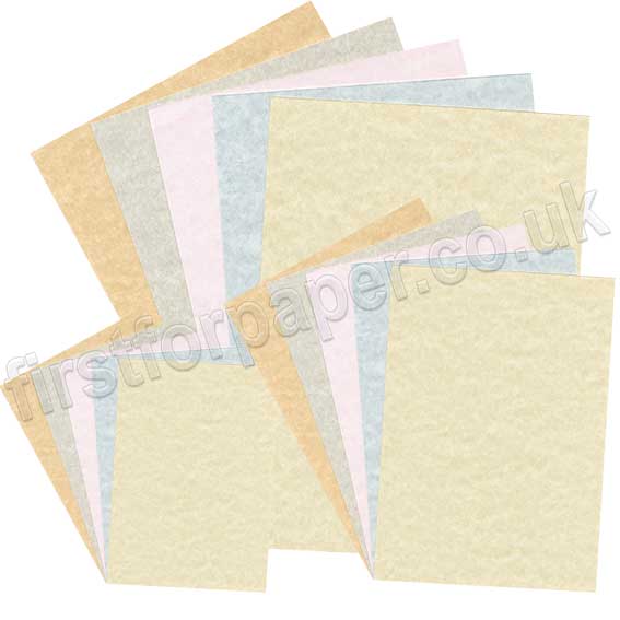 Creative Collection Sample Snippet Pack - First for Paper